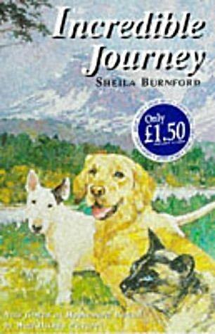 the-incredible-journey – Kitabay