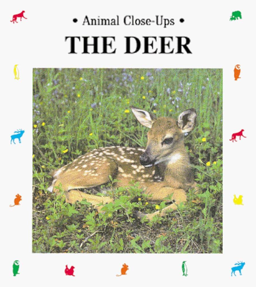 The Deer (Animal Close-Ups) – Kitabay